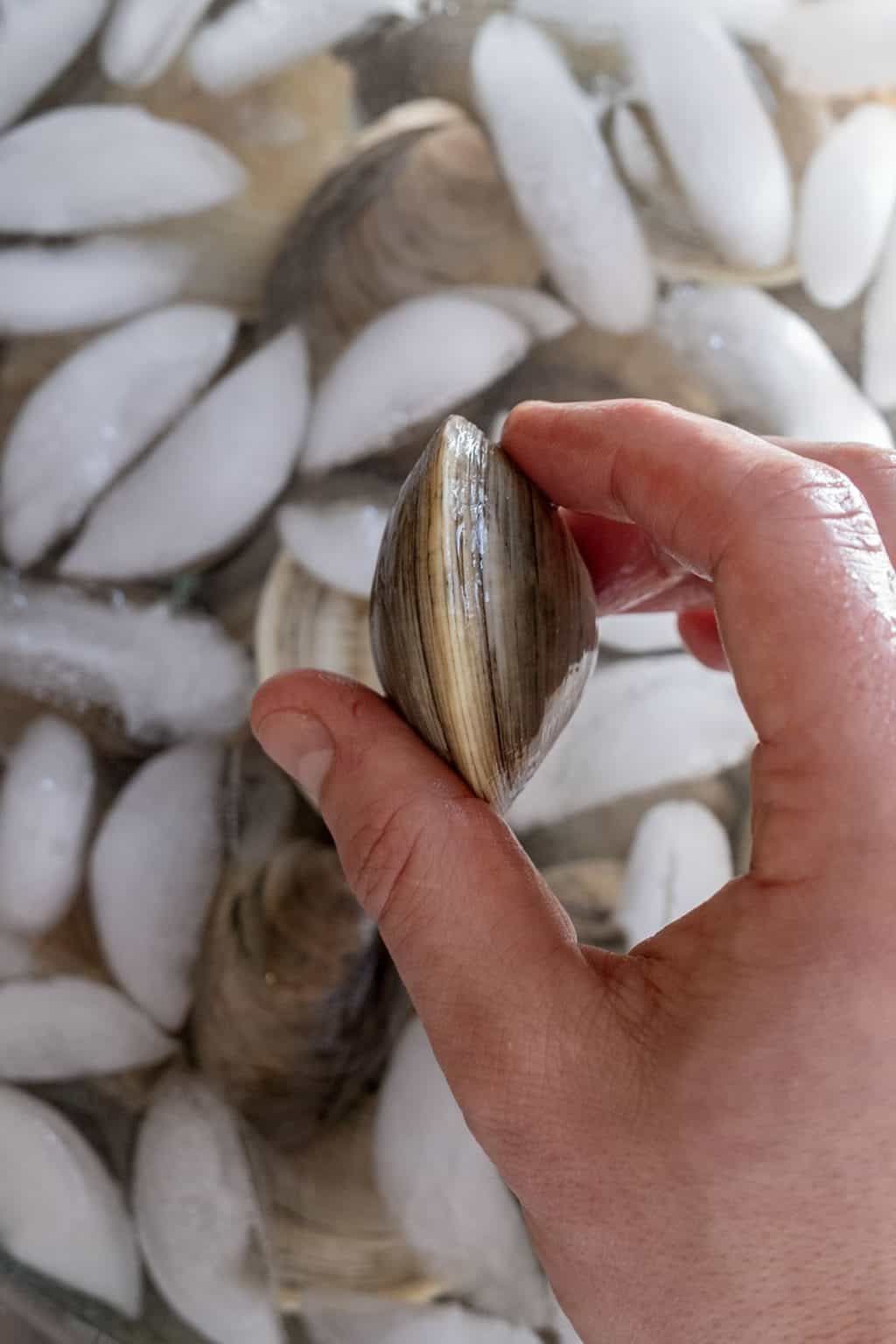 Linguine with Clams - Always From Scratch