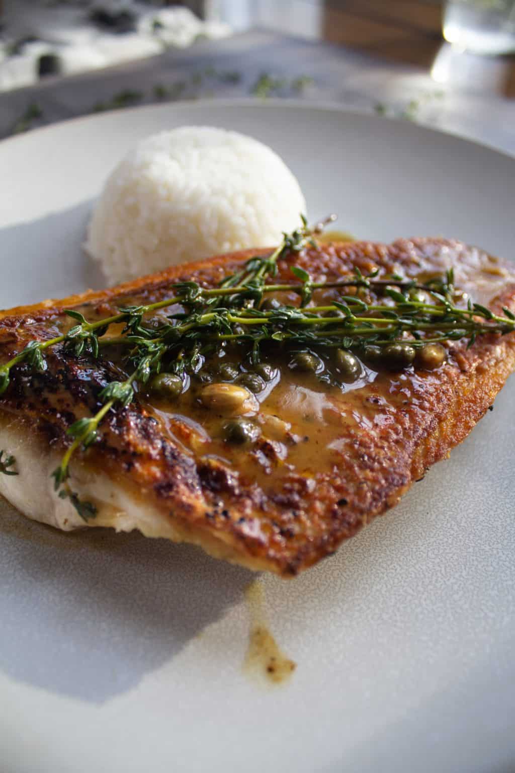 Pan-Seared Vermillion Snapper - Always From Scratch